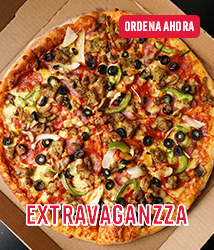 Domino's Home Page - Domino's Pizza, Order Pizza Online for Delivery ...